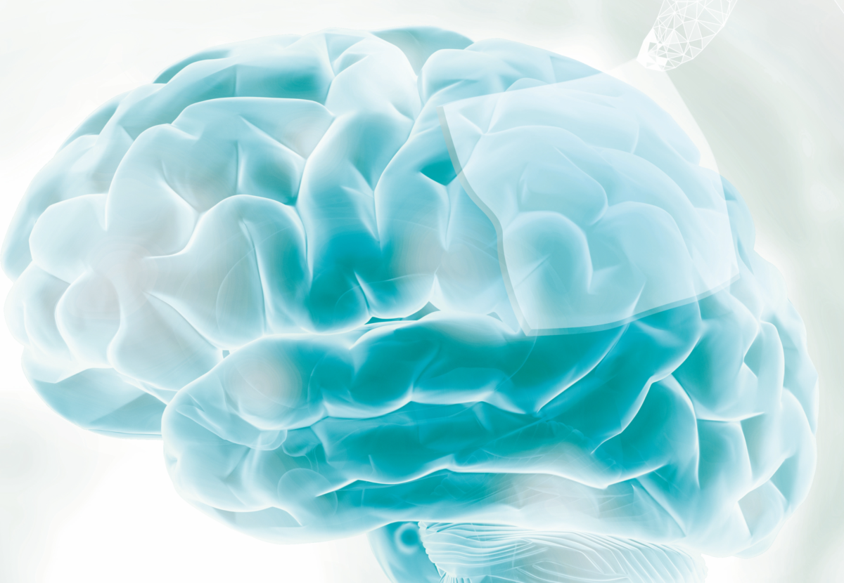 SURGITECHSurgiTech-EGReDura